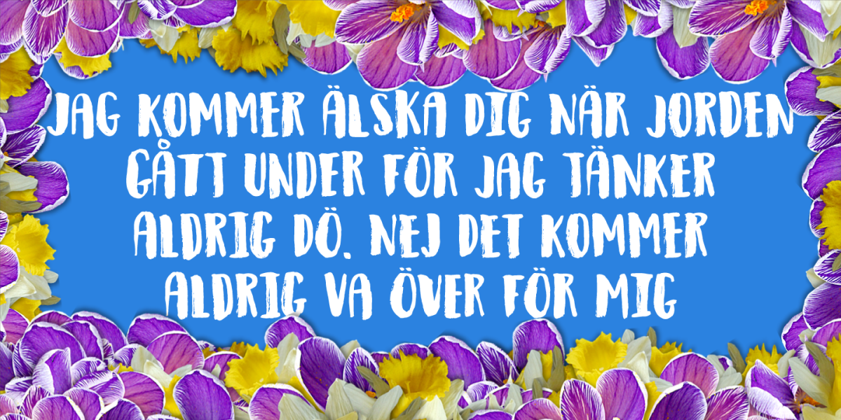 Observant DEMO Font · 1001 Fonts