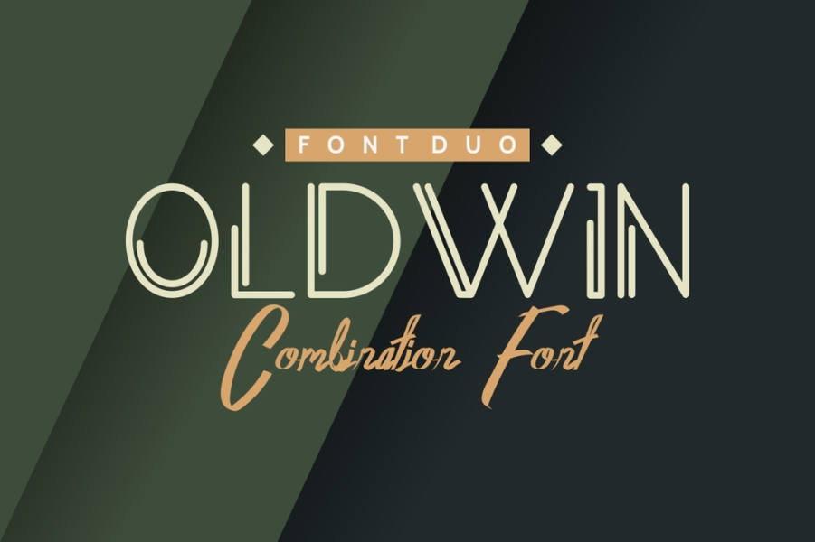 Oldwin Demo Font Family · 1001 Fonts