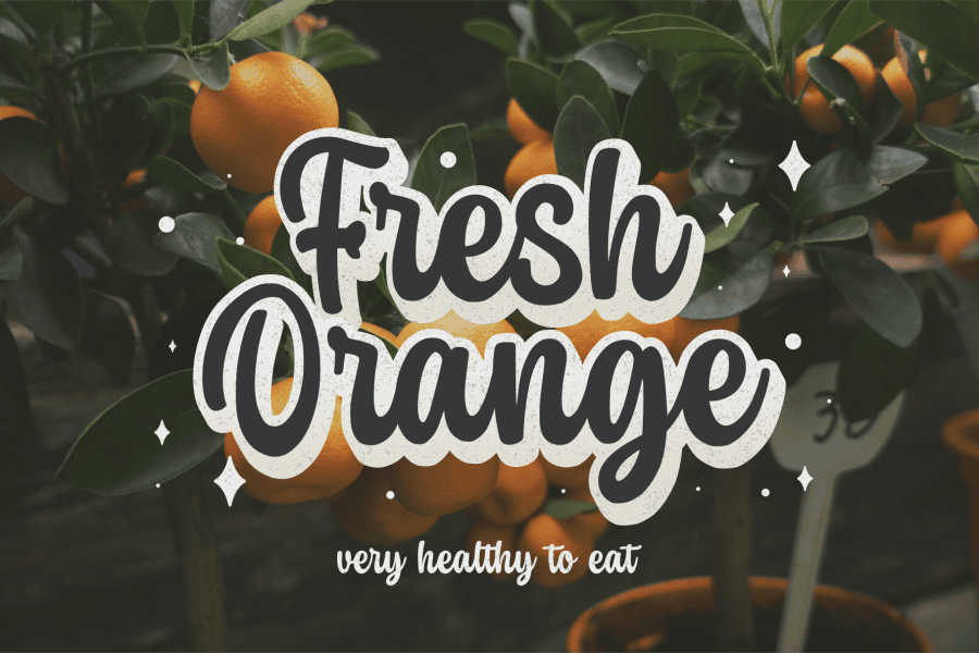 Pamela Bestie Font Family · 1001 Fonts