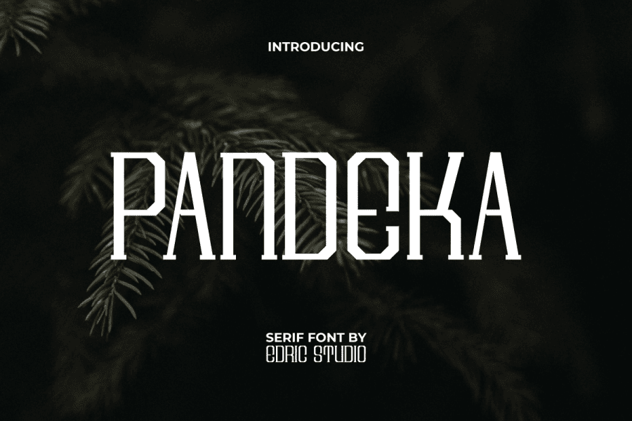 PandekaDemo Font · 1001 Fonts
