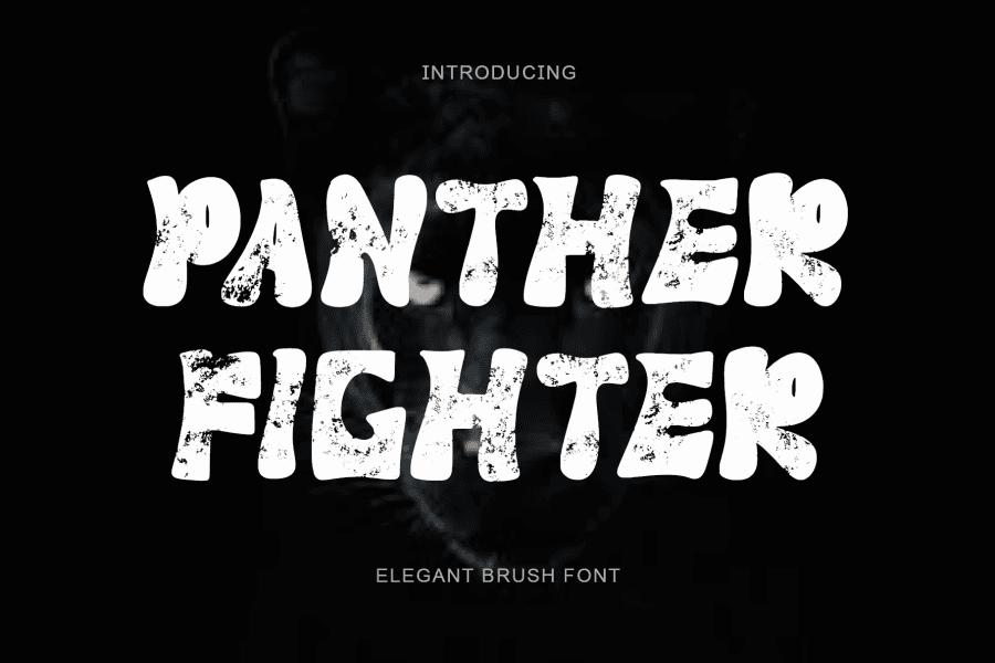 Panther Fighter Font · 1001 Fonts