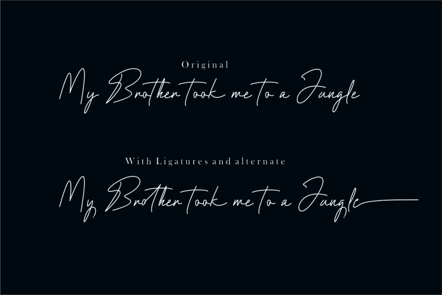 Paradigma Signature Font · 1001 Fonts