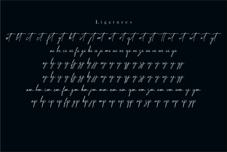 Paradigma Signature Font · 1001 Fonts