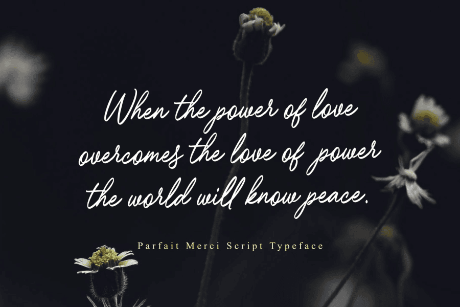 Parfait Merci Font · 1001 Fonts