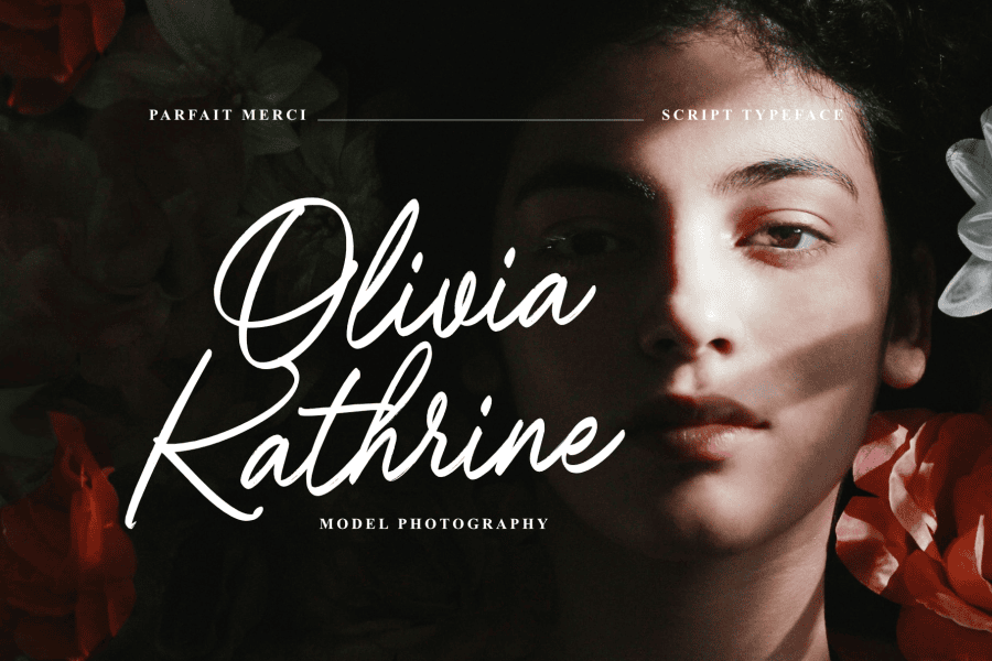 Parfait Merci Font · 1001 Fonts