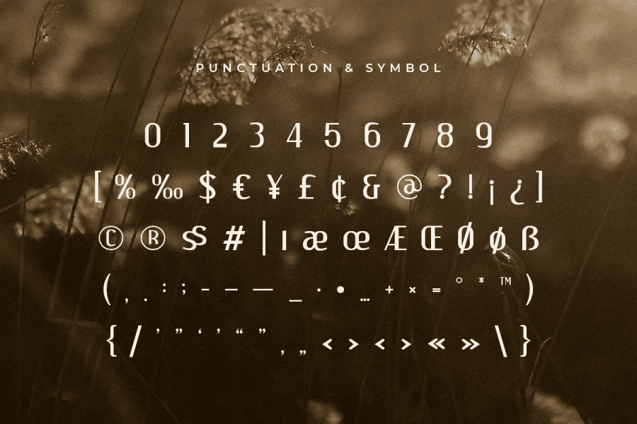 Parker Font · 1001 Fonts
