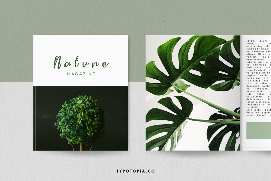 Parsley Font · 1001 Fonts