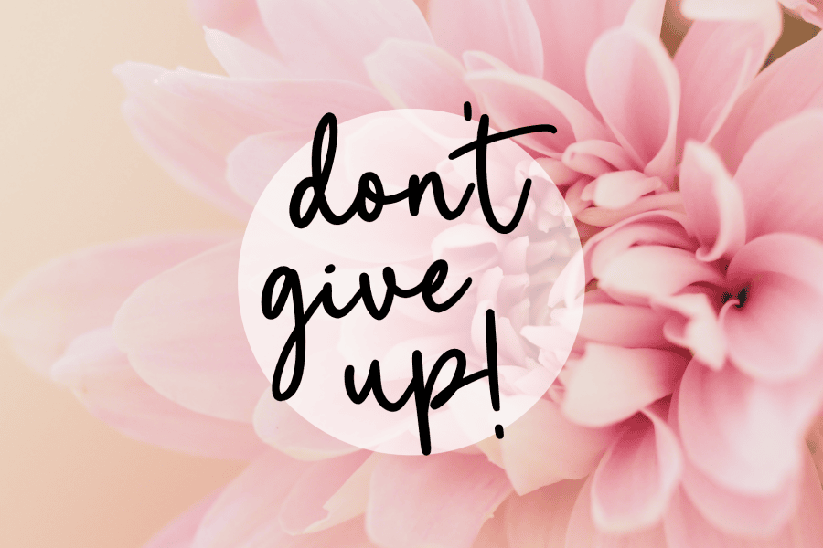 Party Script Font · 1001 Fonts