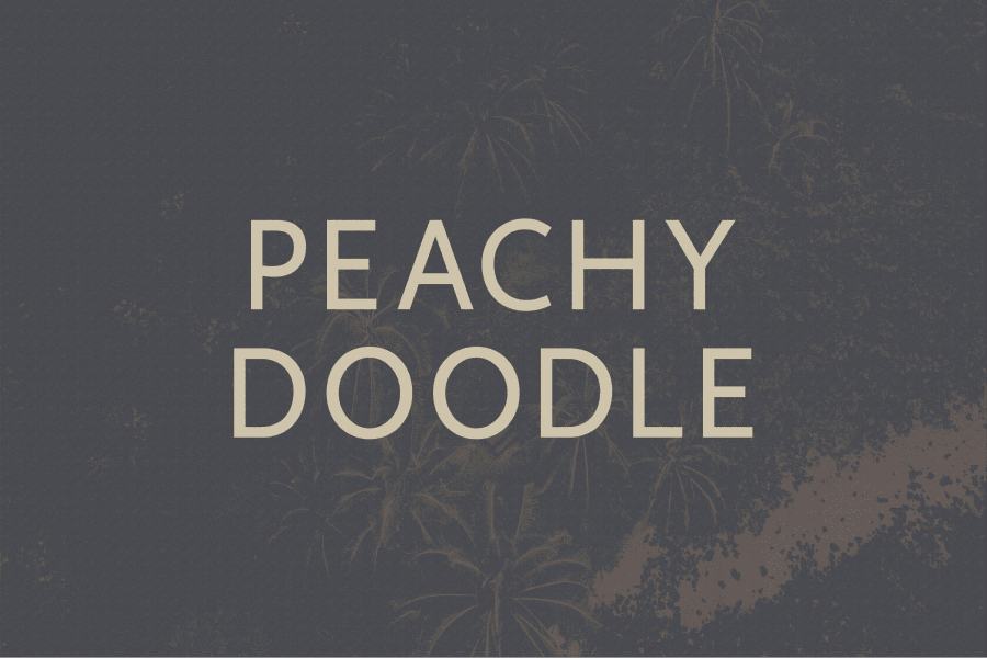 Peachy Doodle Font · 1001 Fonts