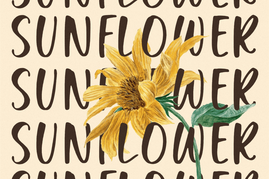 Peanut Crumble Font · 1001 Fonts