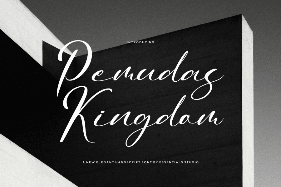 Pemudas Kingdom Font · 1001 Fonts