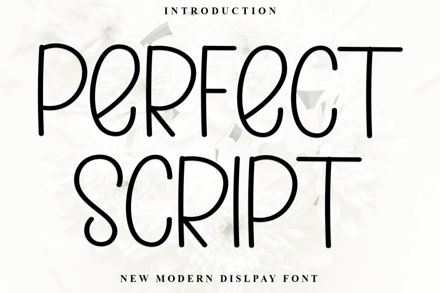 Perfect Script Font · 1001 Fonts