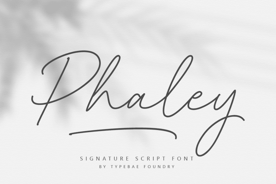 Phaley Font · 1001 Fonts