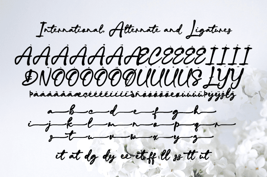 Philliper Font · 1001 Fonts