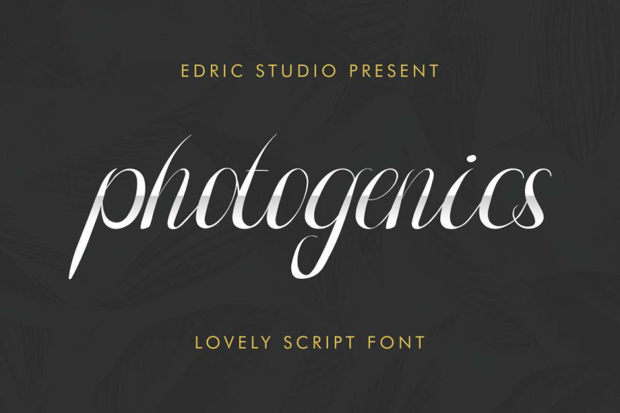 Photogenics Demo Font · 1001 Fonts