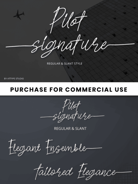 Pilot Signature Font · 1001 Fonts