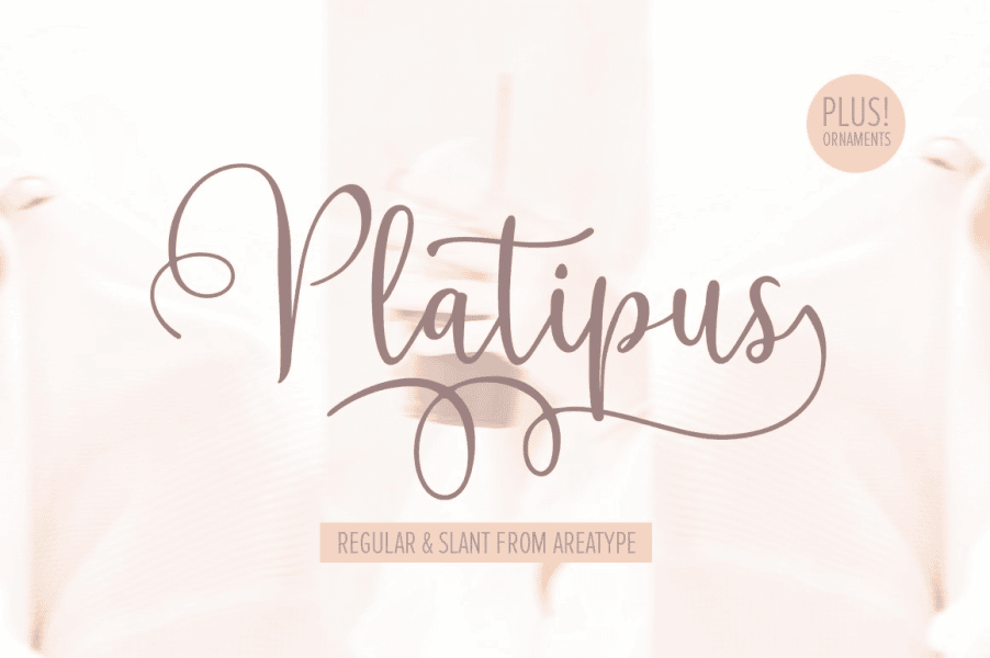 Platipus Font Family · 1001 Fonts