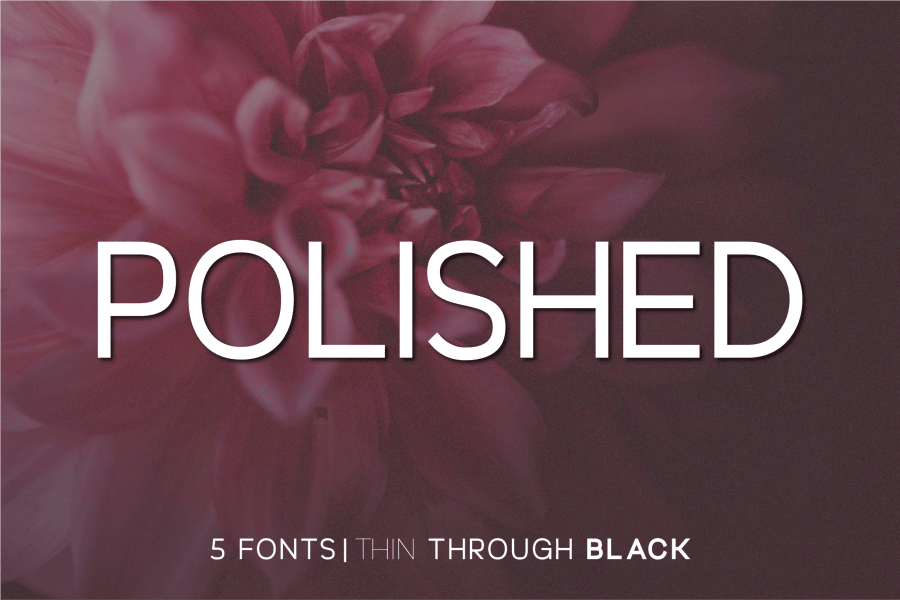 Polished Font Family · 1001 Fonts