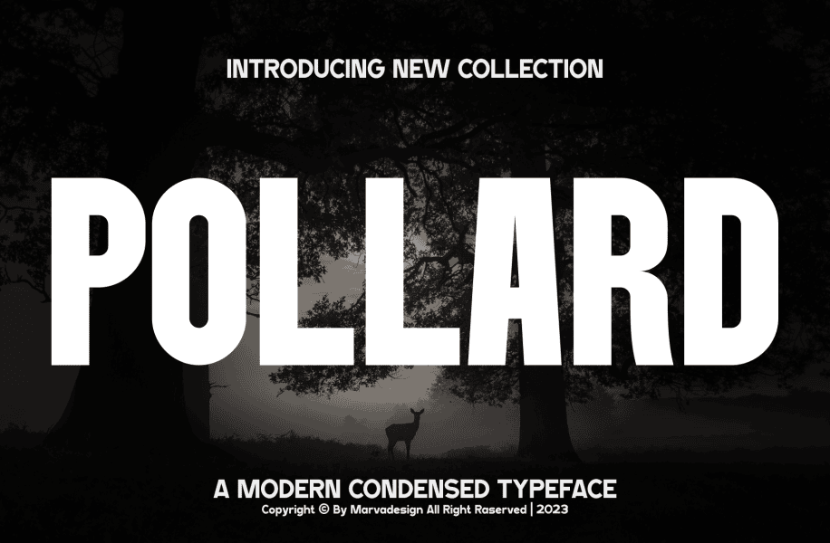 Pollard Font · 1001 Fonts