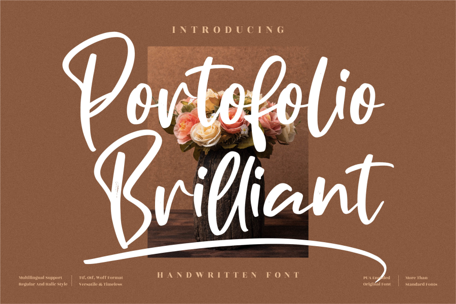Portofolio Brilliant Font Family · 1001 Fonts