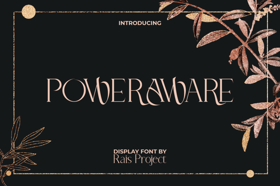 Power Aware Demo Font · 1001 Fonts