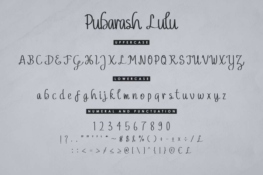 Pubarash Lulu Demo Font · 1001 Fonts