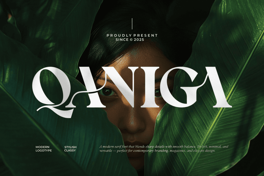Qaniga Font · 1001 Fonts