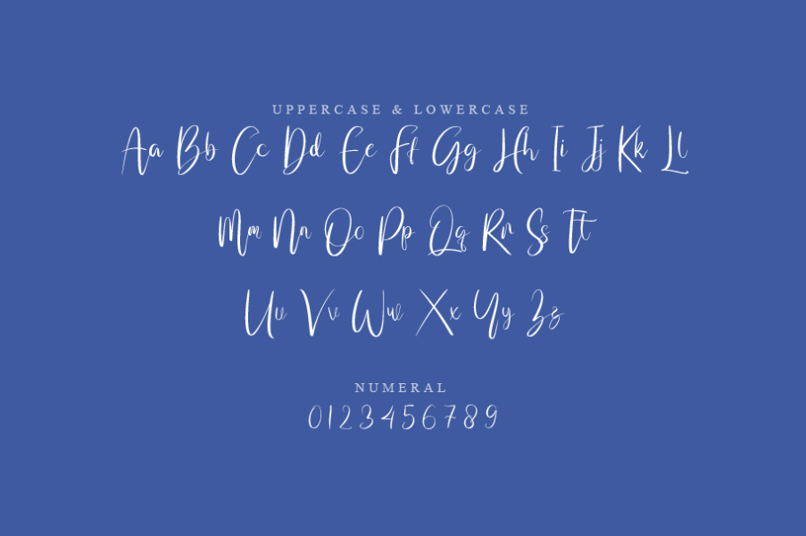 5 Free Laundry Fonts · 1001 Fonts