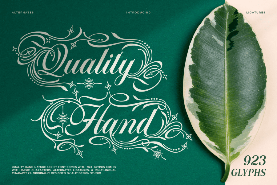 Quality Hand Font · 1001 Fonts