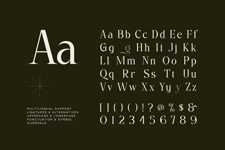 1 Free Beautiful, Times Font · 1001 Fonts