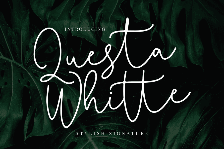 Questa Whitte Font · 1001 Fonts