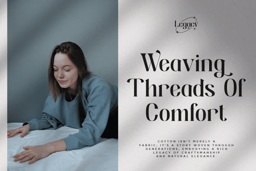 Quin Font · 1001 Fonts