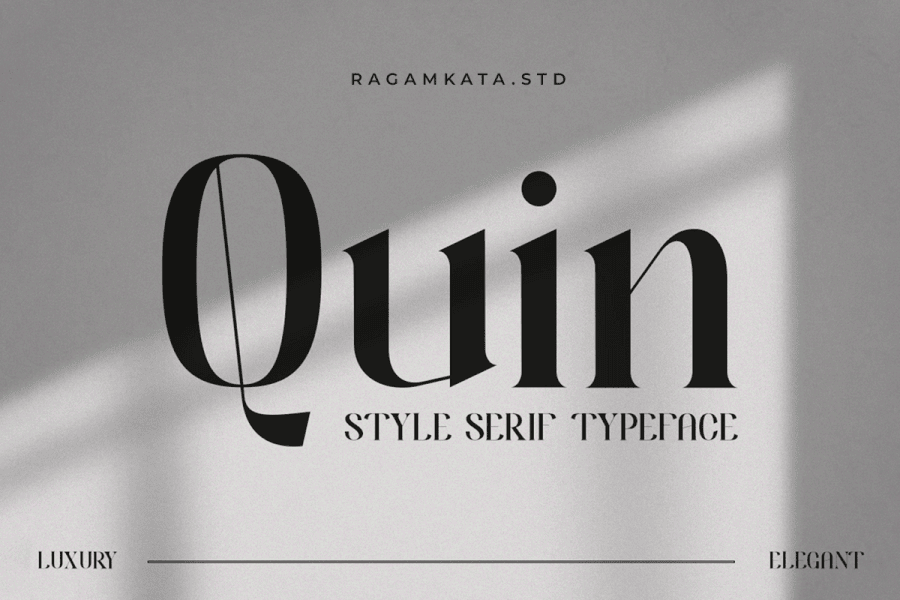 Quin Font · 1001 Fonts