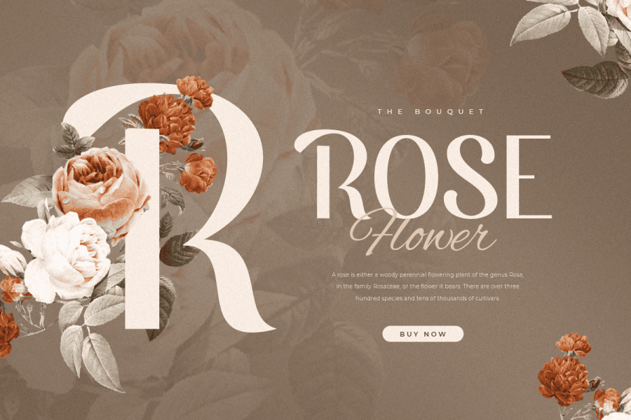 Quince Font · 1001 Fonts