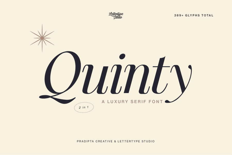 Quinty Demo Font Family · 1001 Fonts