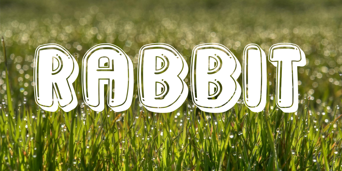 Rabbit Font · 1001 Fonts
