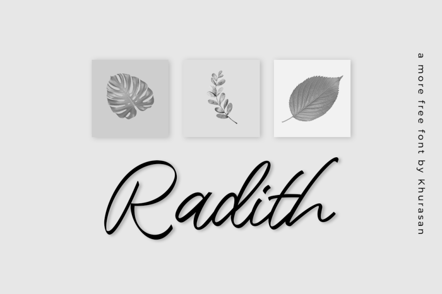 Radith Font · 1001 Fonts