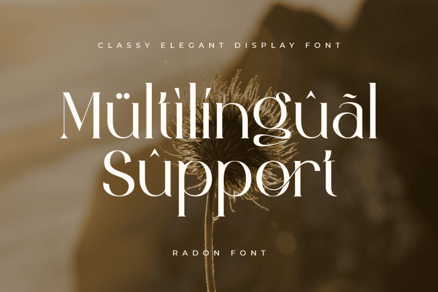 Radon Font · 1001 Fonts