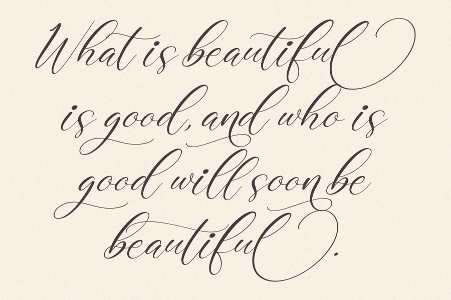 Rafaela Salitha Font Family · 1001 Fonts