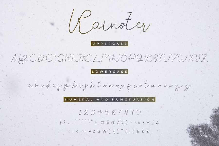 Rainster Demo Font · 1001 Fonts