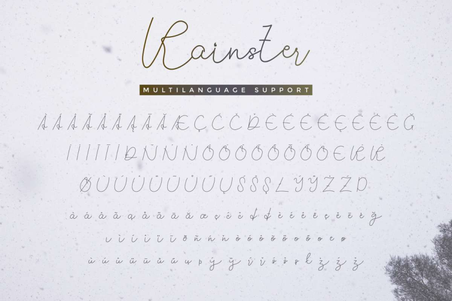 Rainster Demo Font · 1001 Fonts