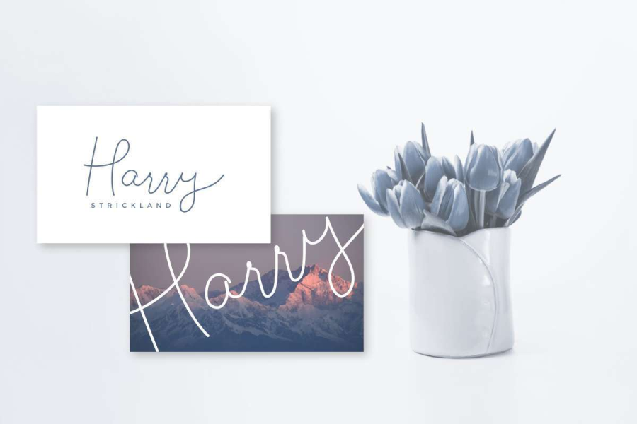 Rainster Demo Font · 1001 Fonts