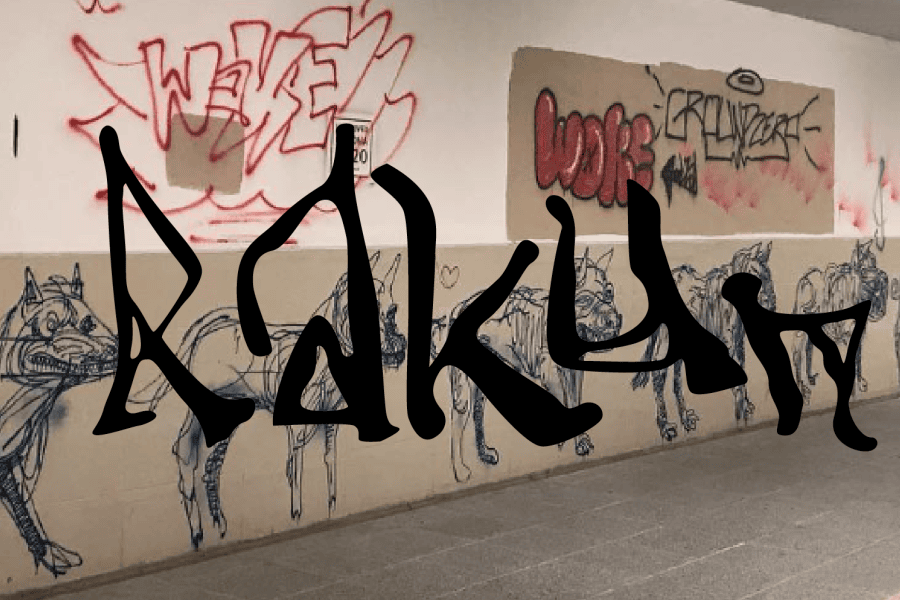 Rakun Font · 1001 Fonts