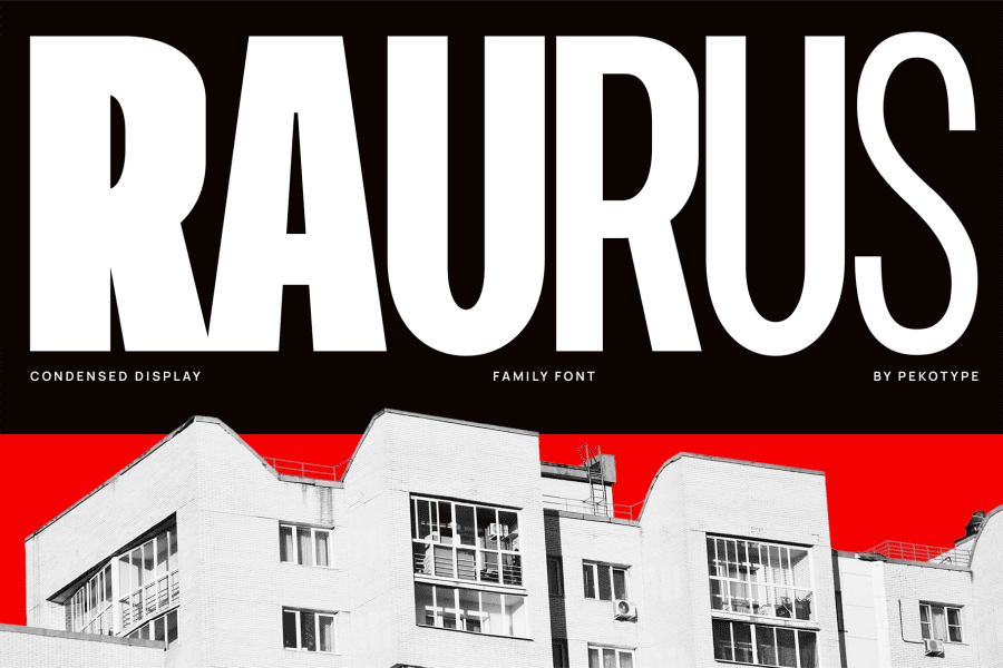 Raurus Font Family · 1001 Fonts