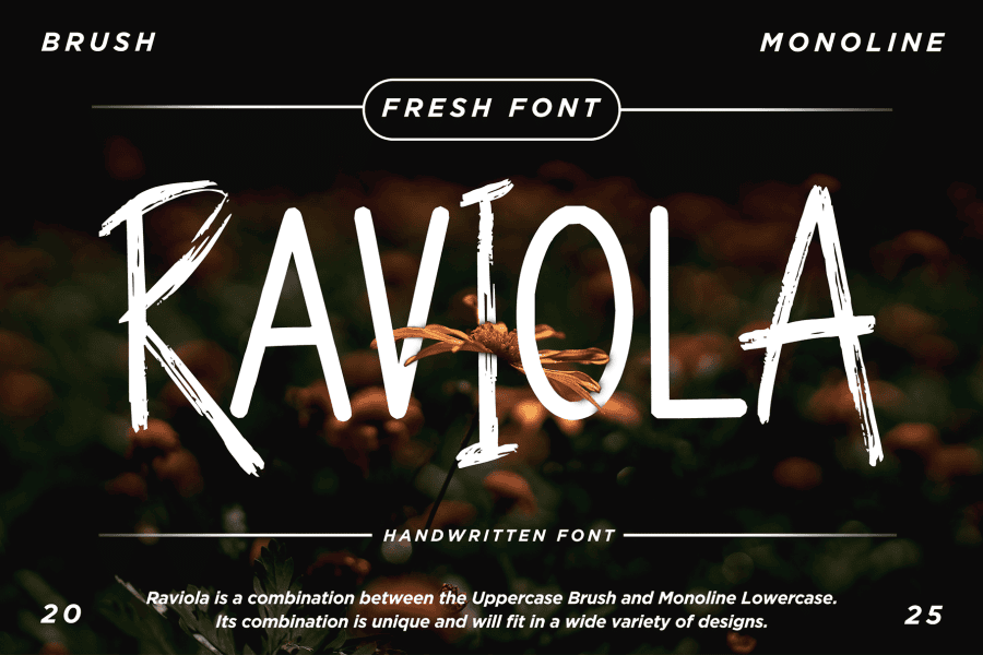 1 Free Canva Handwriting, Cursive, Logotype Font · 1001 Fonts