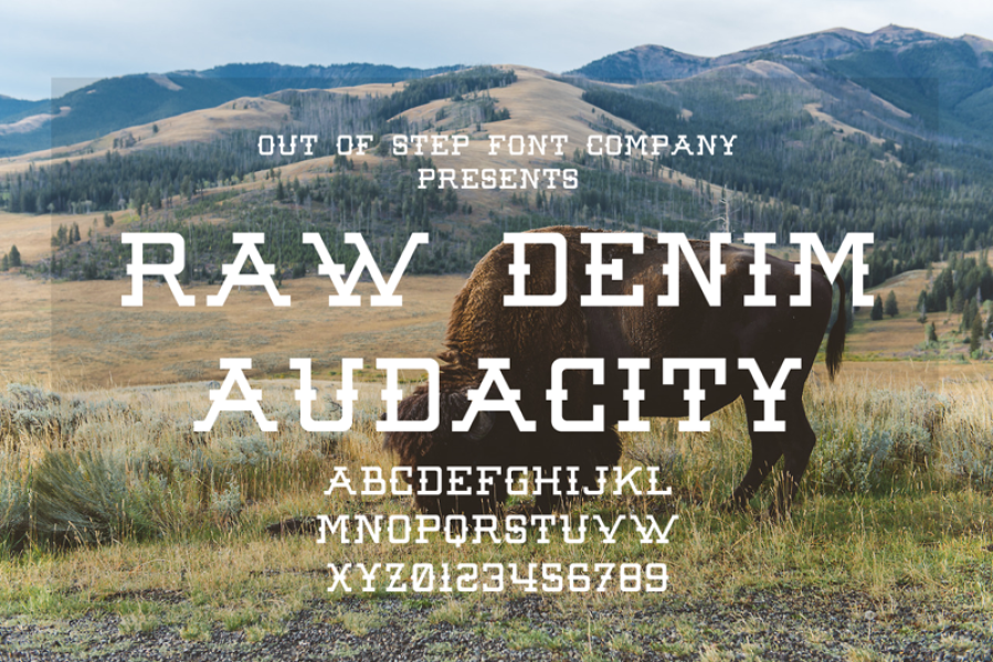 Raw Denim Audacity Font · 1001 Fonts