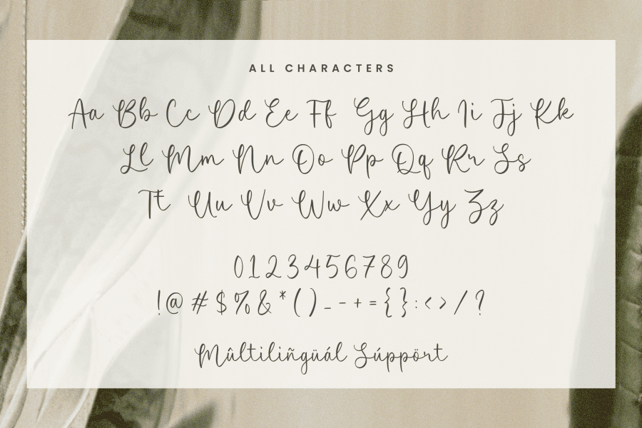 Realistic Harvest Font · 1001 Fonts