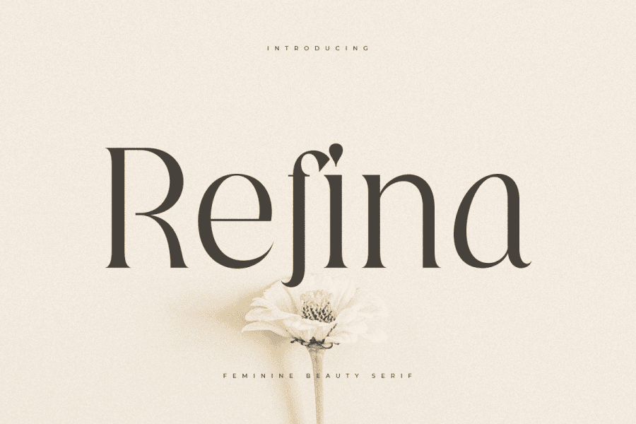 Refina Font · 1001 Fonts