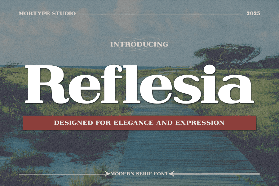 Reflesia Font · 1001 Fonts