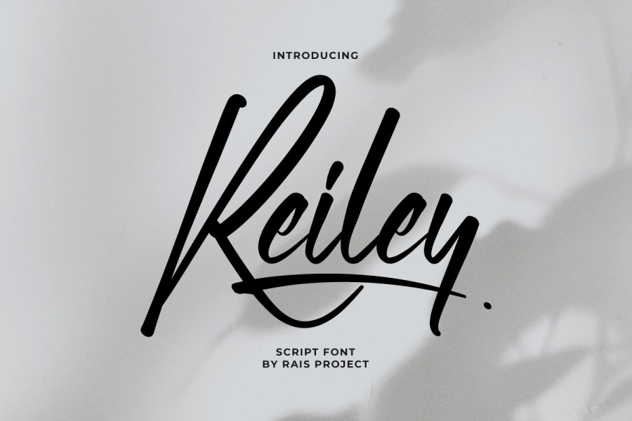 Reiley Demo Font · 1001 Fonts